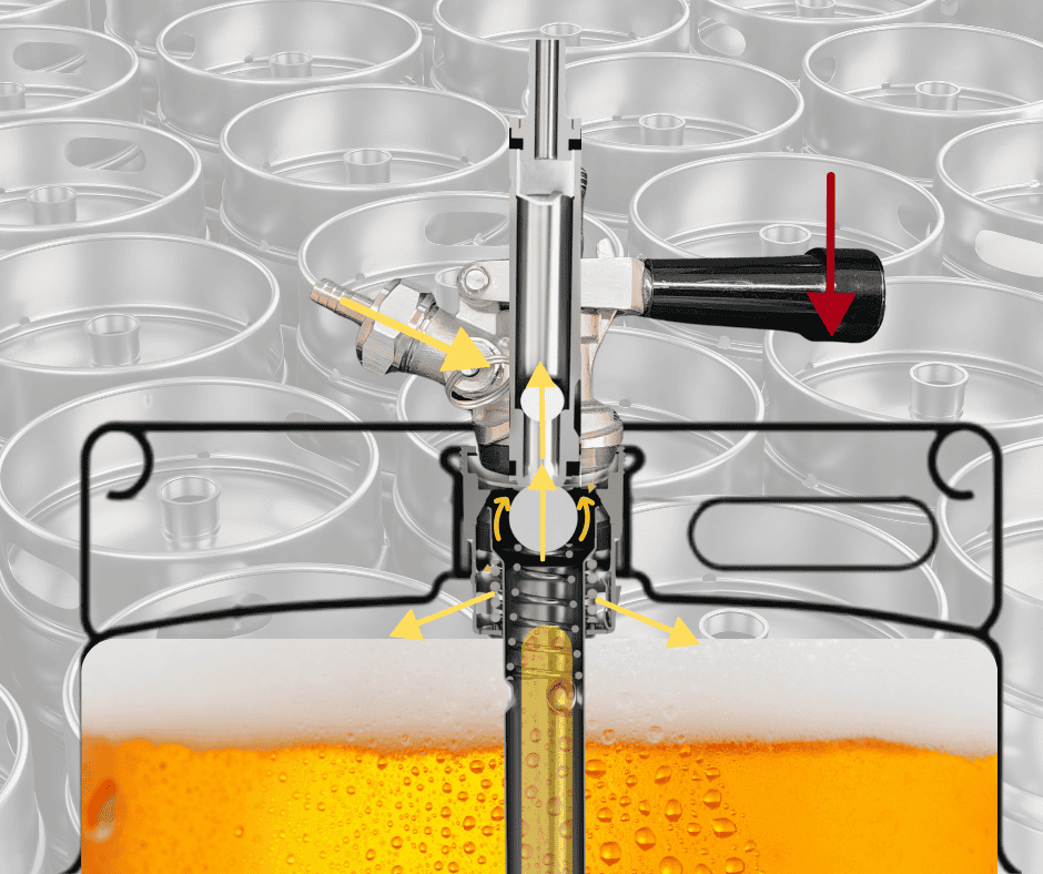 Blog Sobre Dispensadores De Cerveza Gu as Instalaci n Y Consejos TBD Blog Sobre Dispensadores De Cerveza Gu as Instalaci n Y Consejos TBD