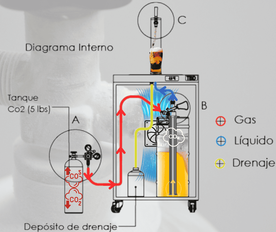 Blog Sobre Dispensadores De Cerveza Gu as Instalaci n Y Consejos TBD Blog Sobre Dispensadores De Cerveza Gu as Instalaci n Y Consejos TBD